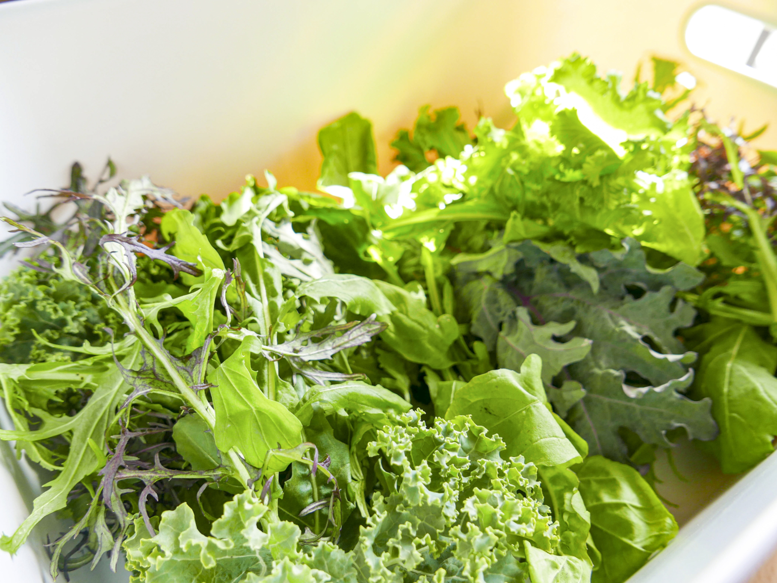 menu - KASHO-YAKITORI