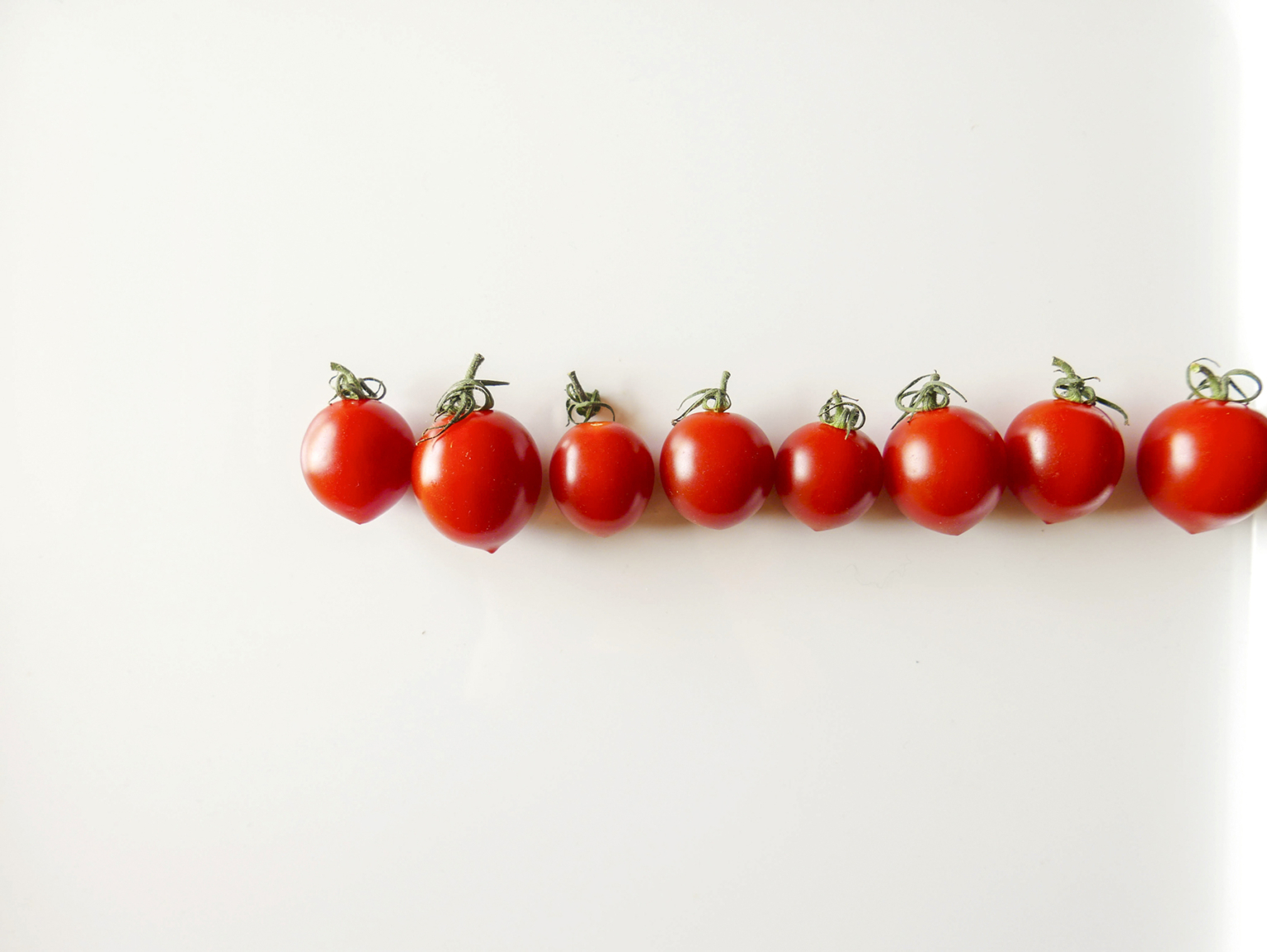 menu - KASHO-YAKITORI